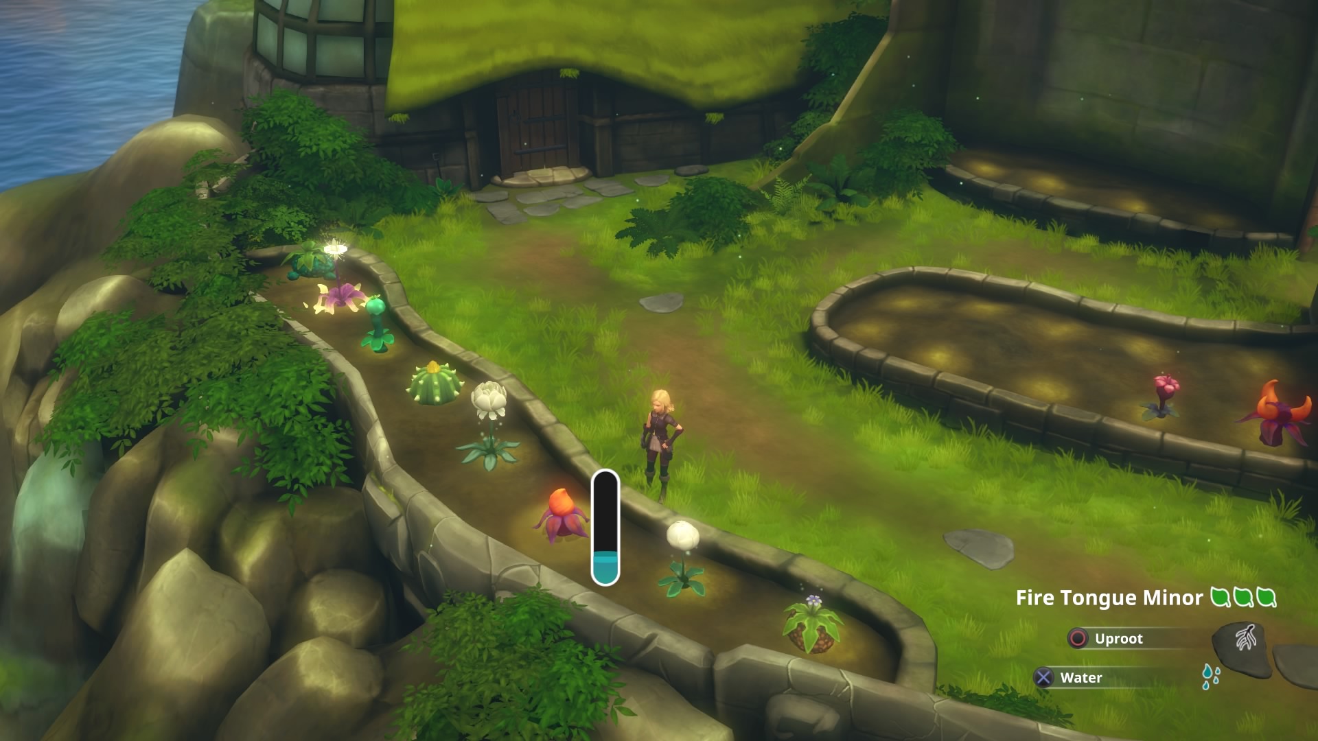 Earthlock: Festival of Magic – PS4 Review – PlayStation Country