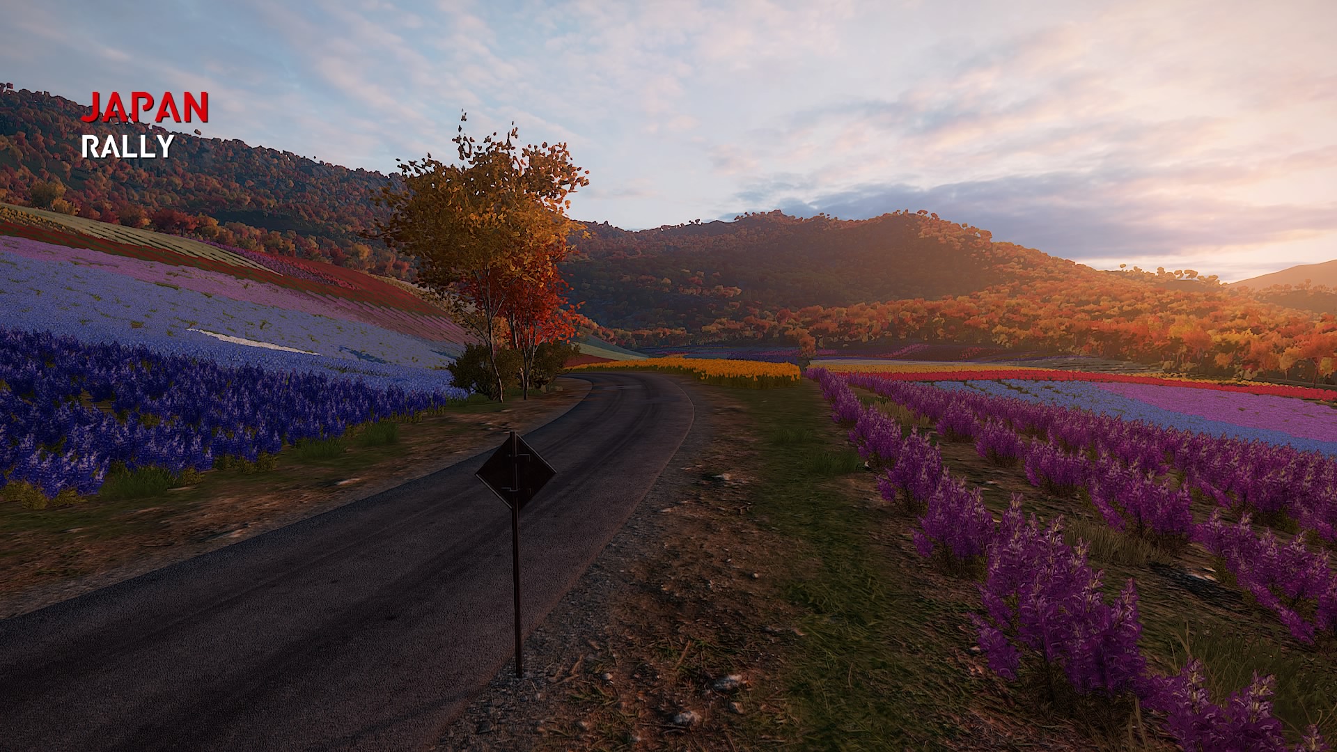 V-Rally 4 – PS4 Review – PlayStation Country