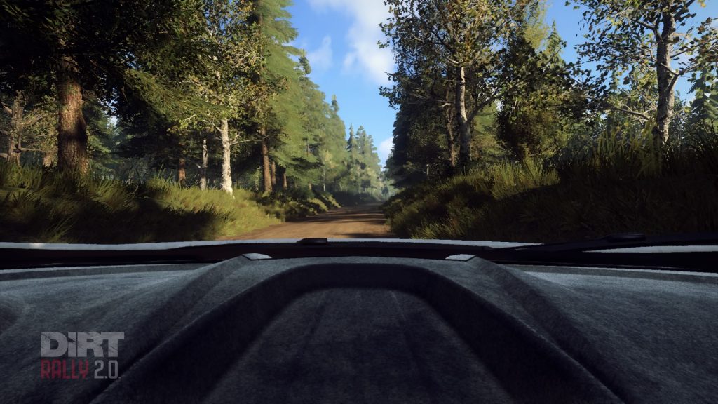 DiRT Rally 2.0 – PS4 Review – PlayStation Country