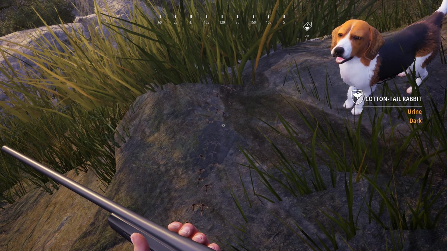Hunting Simulator 2 – PS4 Review – PlayStation Country