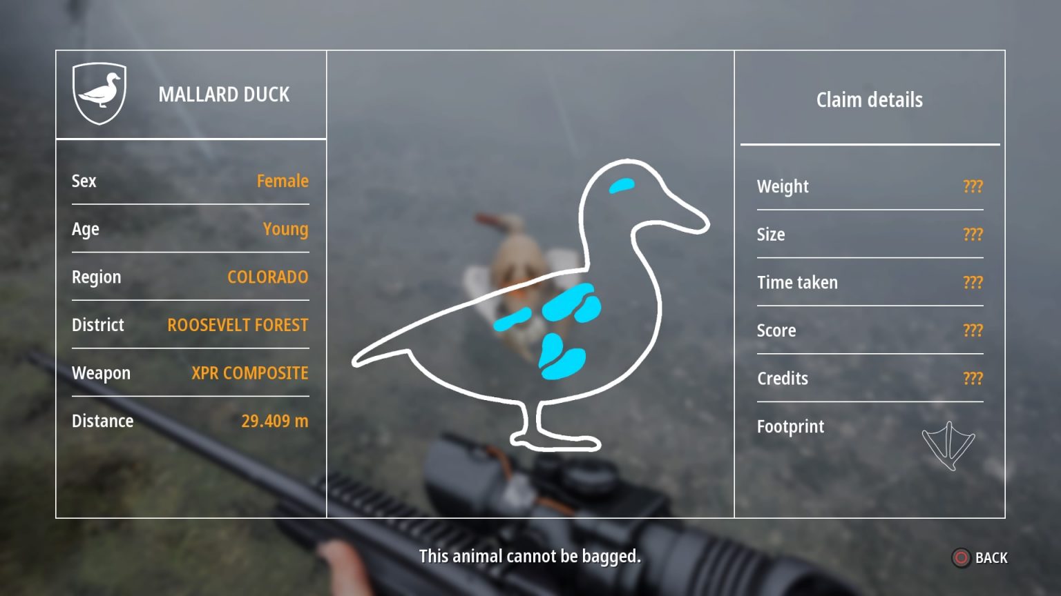 Hunting Simulator 2 – PS4 Review – PlayStation Country