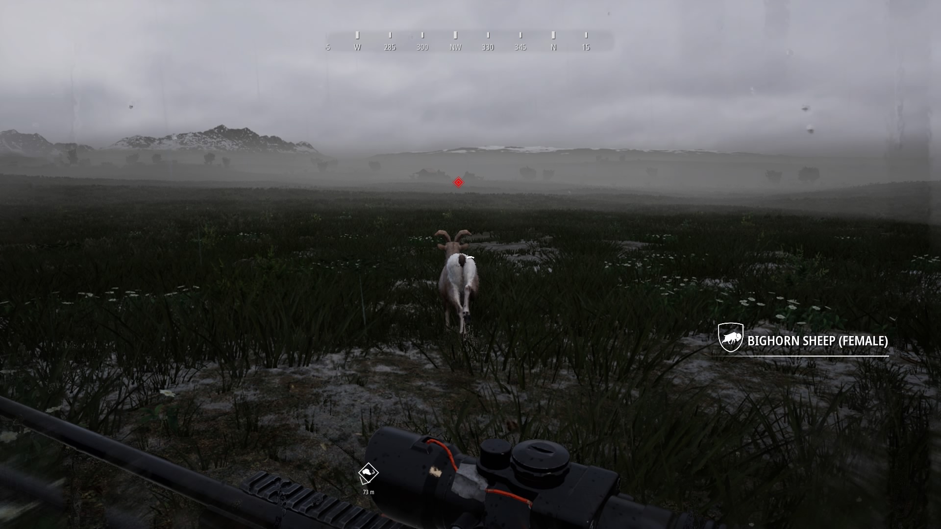 Hunting Simulator 2 – PS4 Review – PlayStation Country